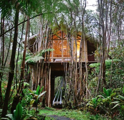 Dreamy Tropical Tree House
